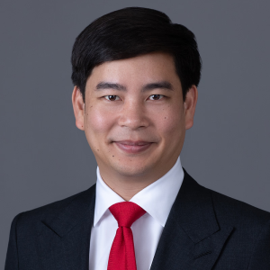 Hawaii Business Litigation Lawyer : Corporate Business Attorney